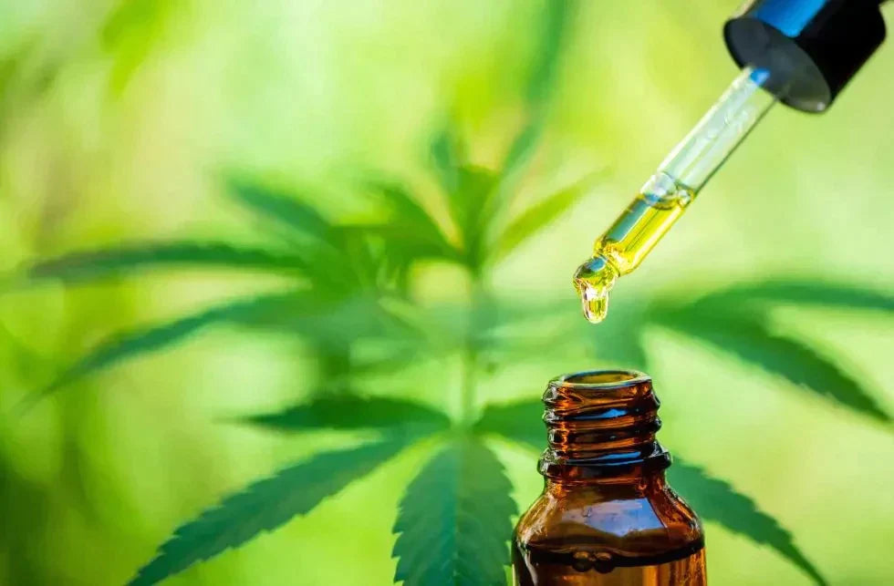 What is Hemp Oil and is it Safe?